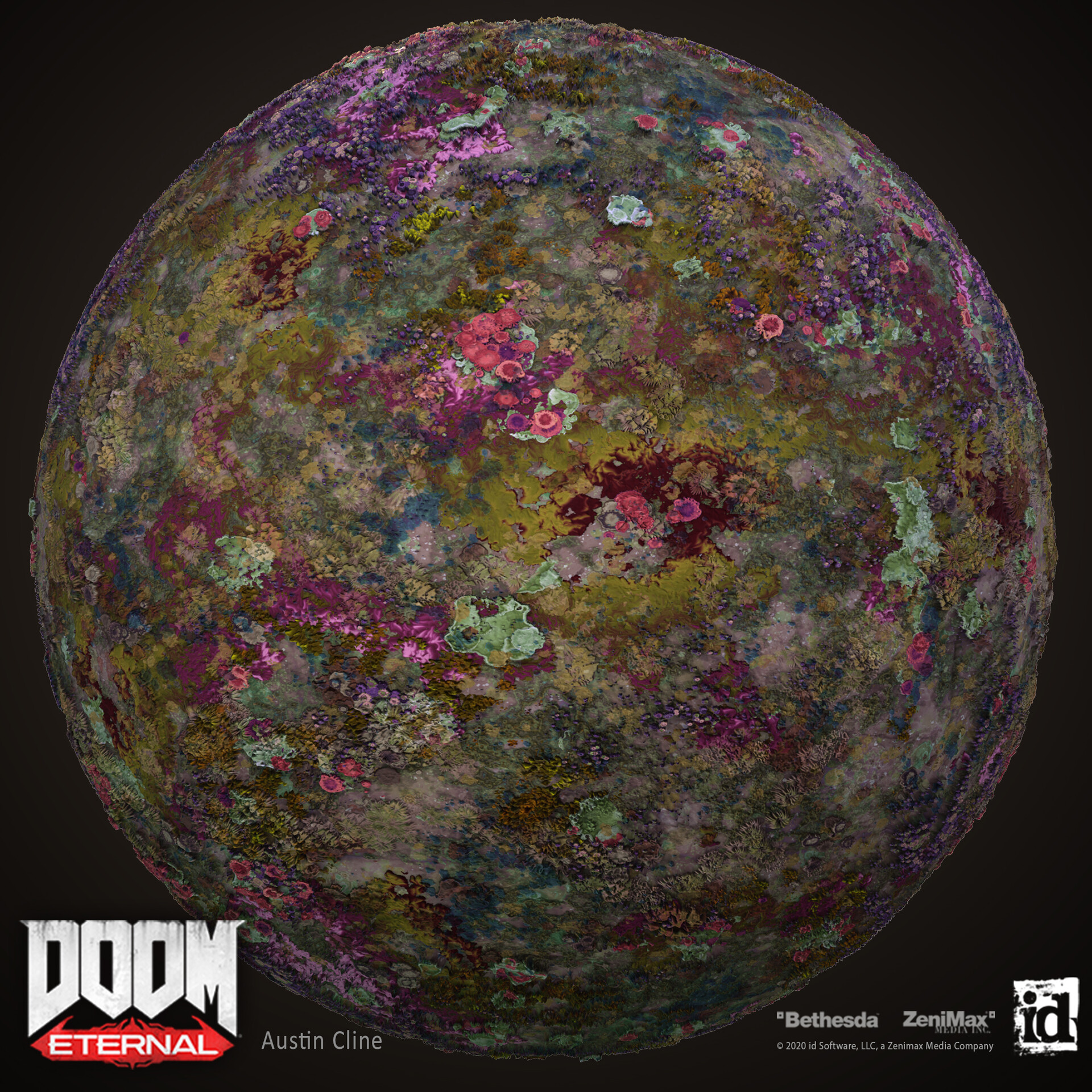 Austin Cline - coral and lichen