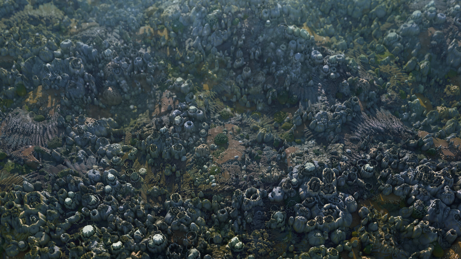 Austin Cline - coral and lichen