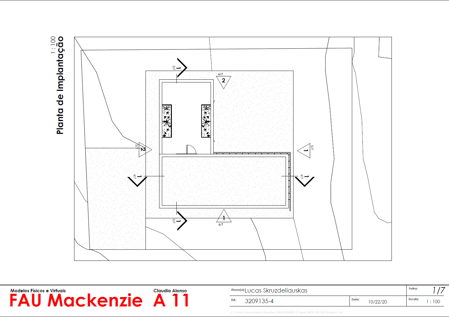 Lucas Skruzdeliauskas - 2020 // MOD FIS VIR #1