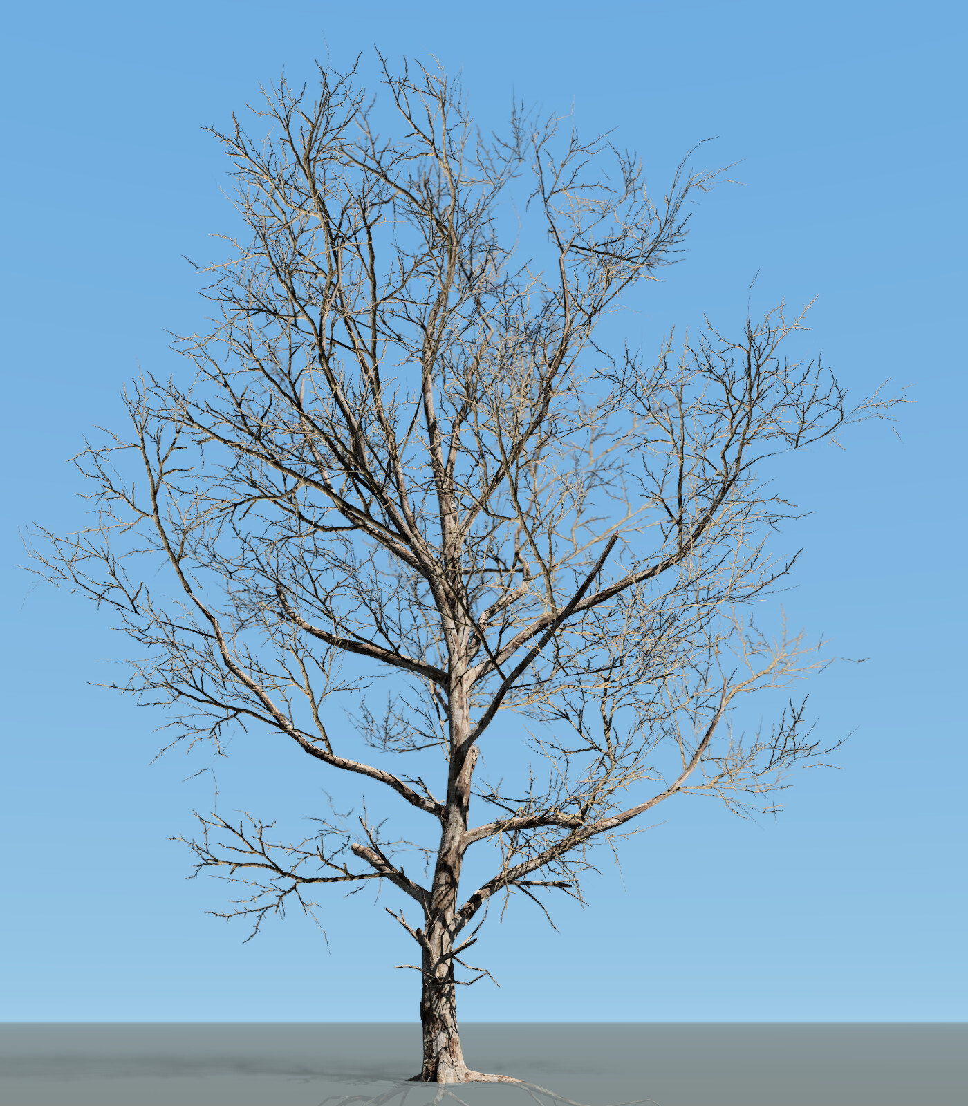 ArtStation - Red Maple