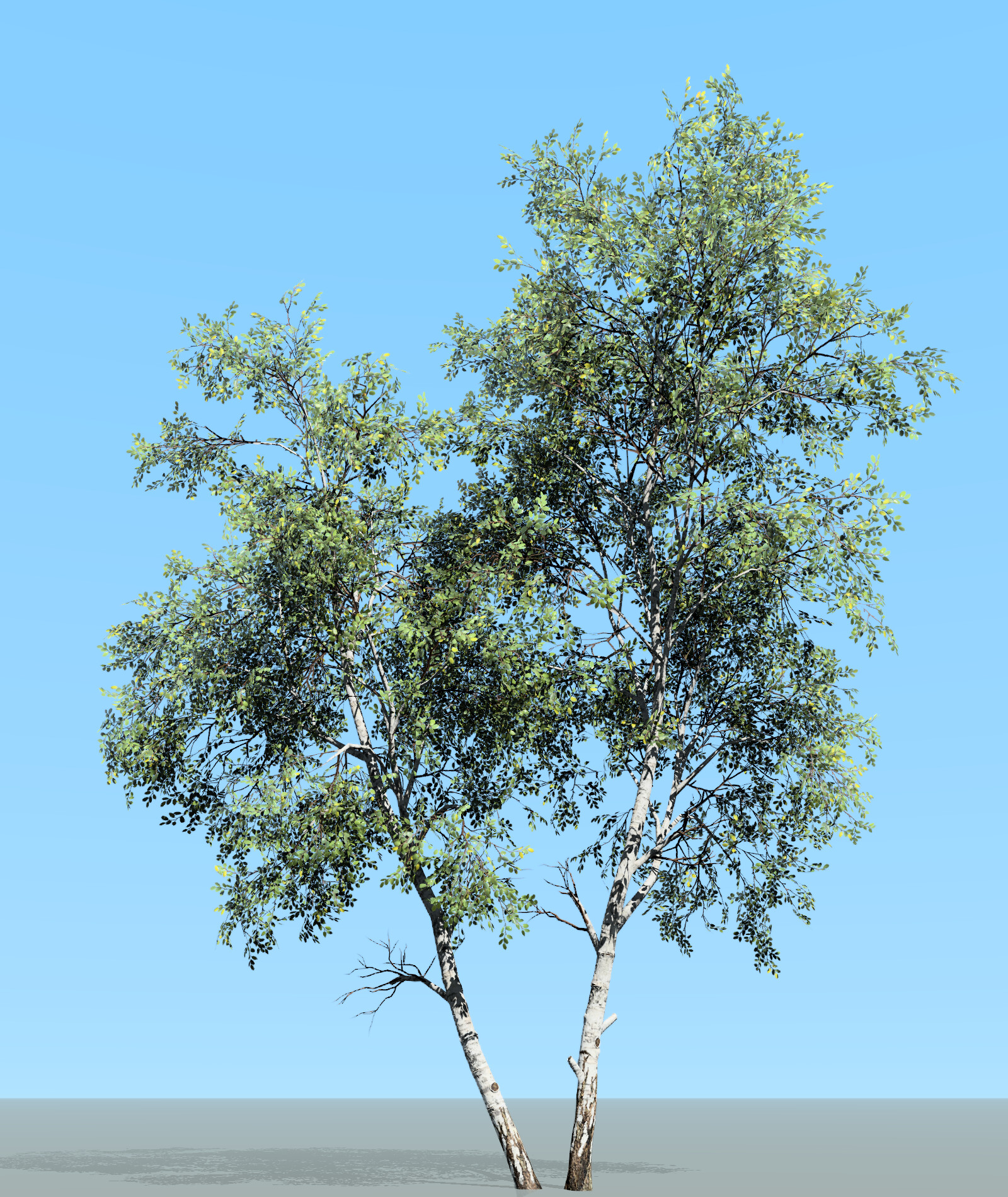 ArtStation - Birch GAMES