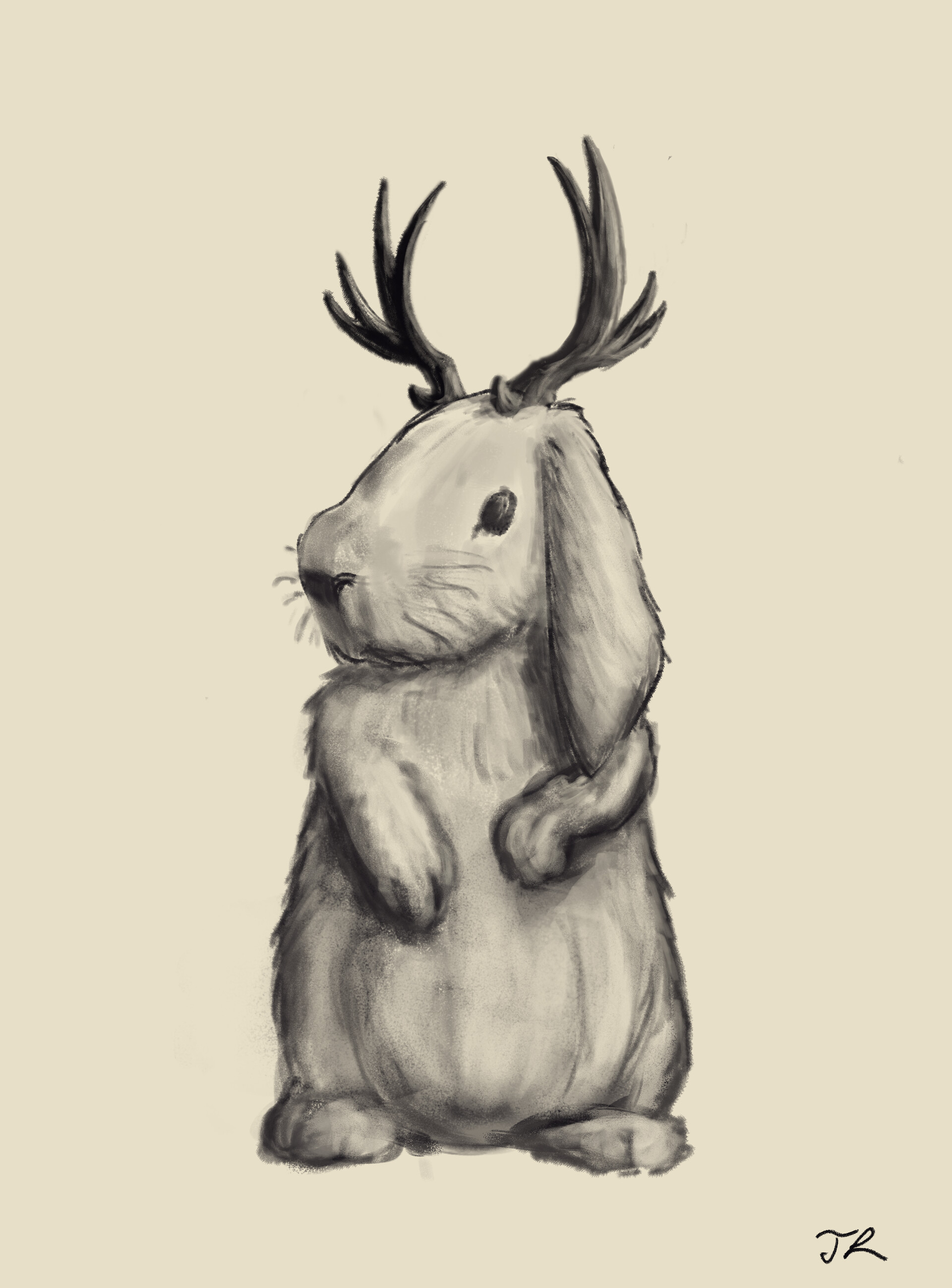 Jackalope Illustration