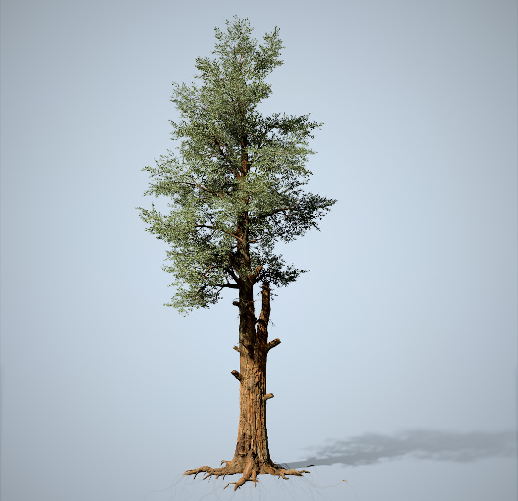 ArtStation - Redwood VFX