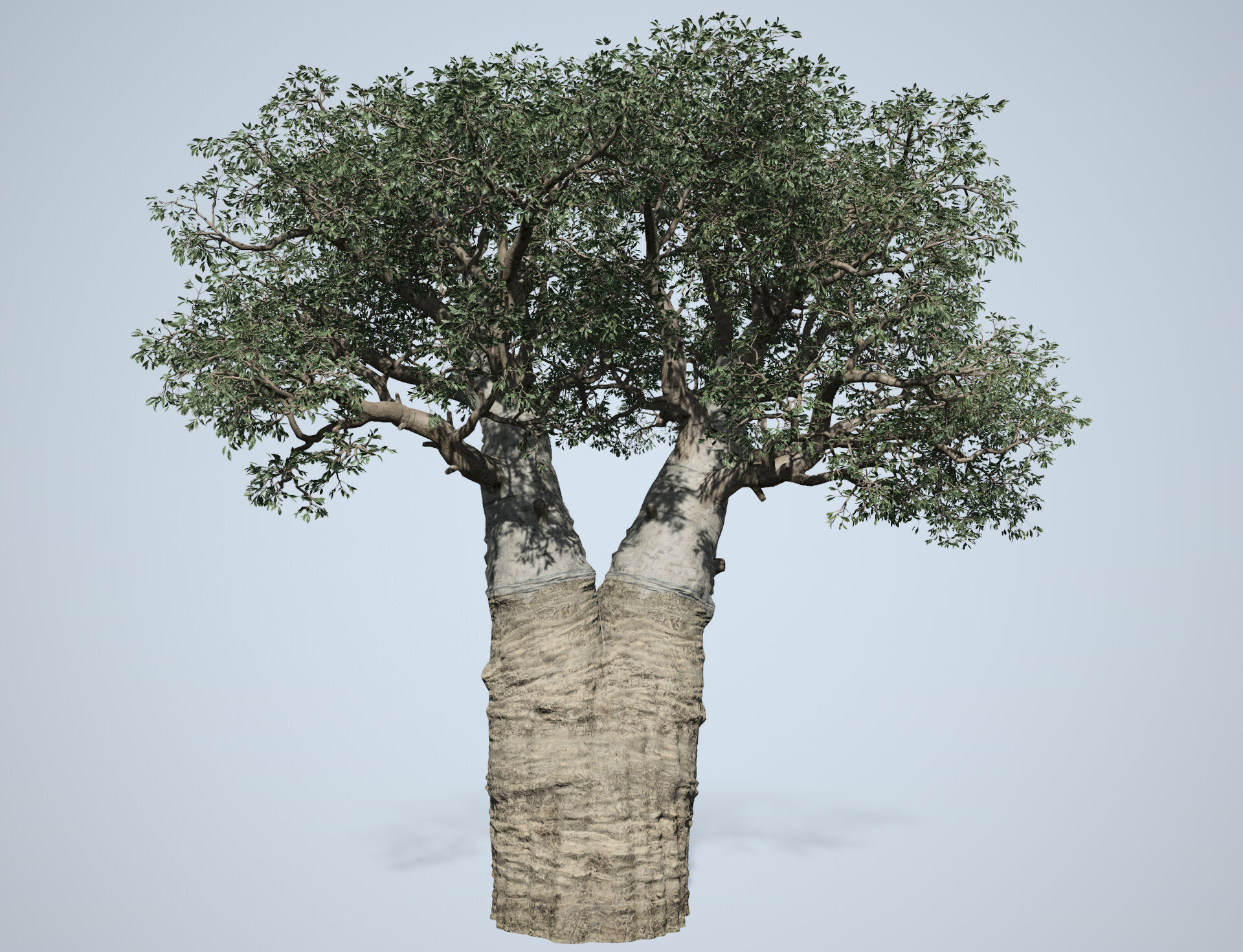 ArtStation - Baobab VFX