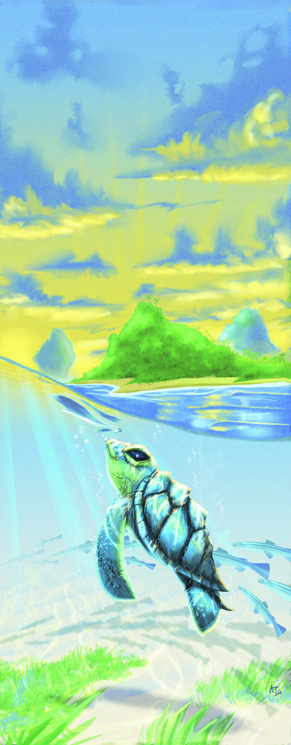 ArtStation - sea turtle