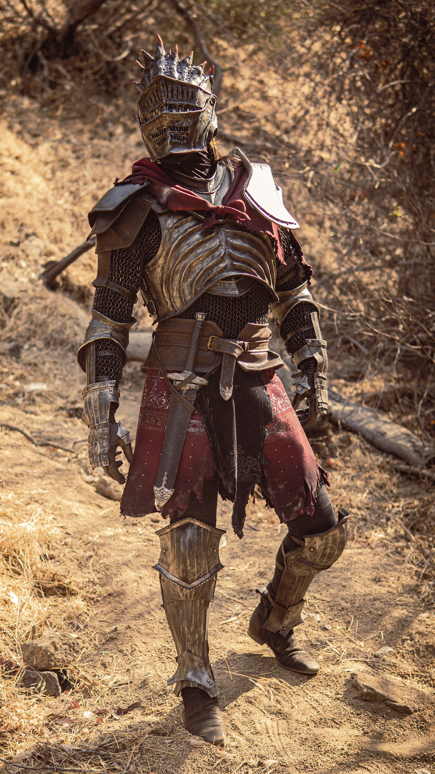 Fei F. Ou - Soul of Cinder - Dark Souls 3