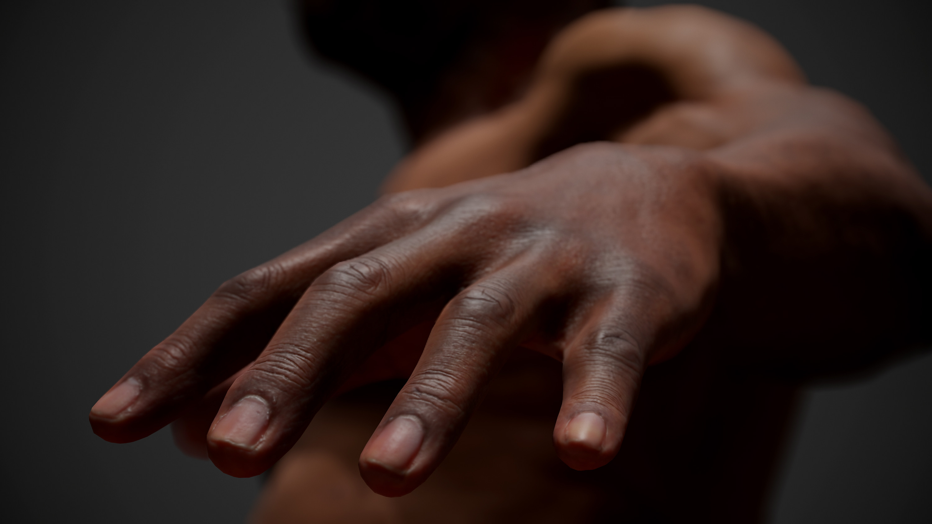 3D Scan Store - Anatomy Reference Scans