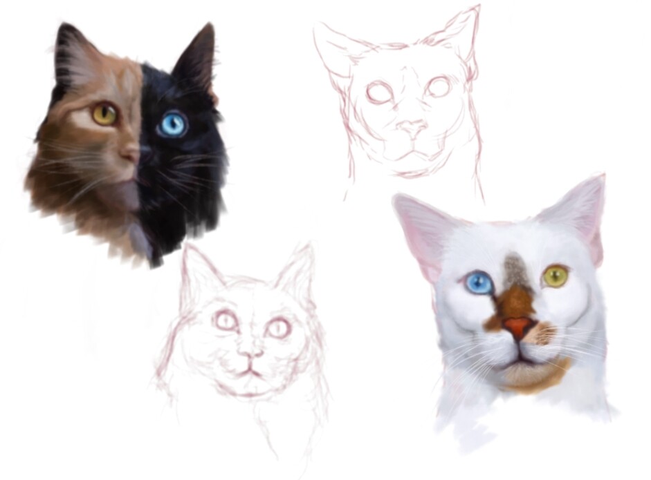 ArtStation - cat studies