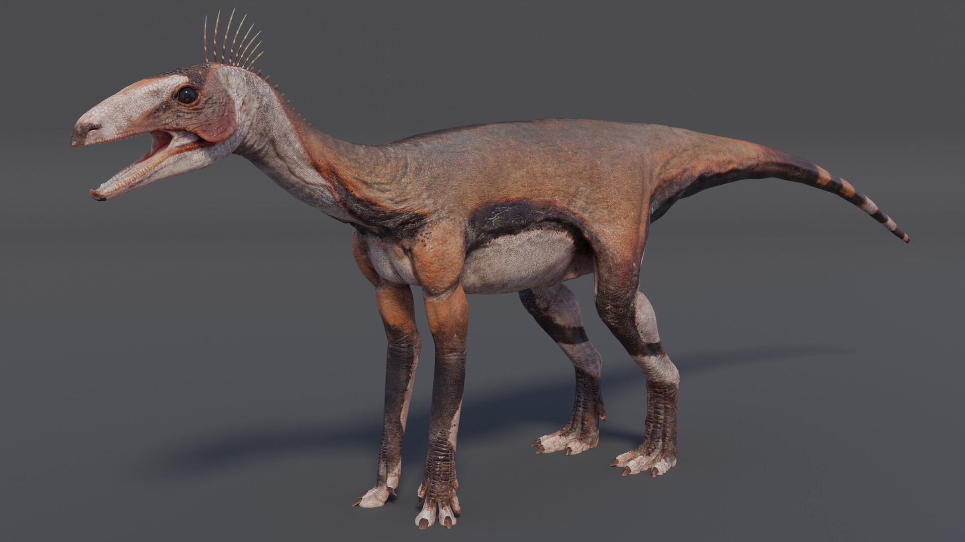 Joanna Kobierska - Silesaurus opolensis
