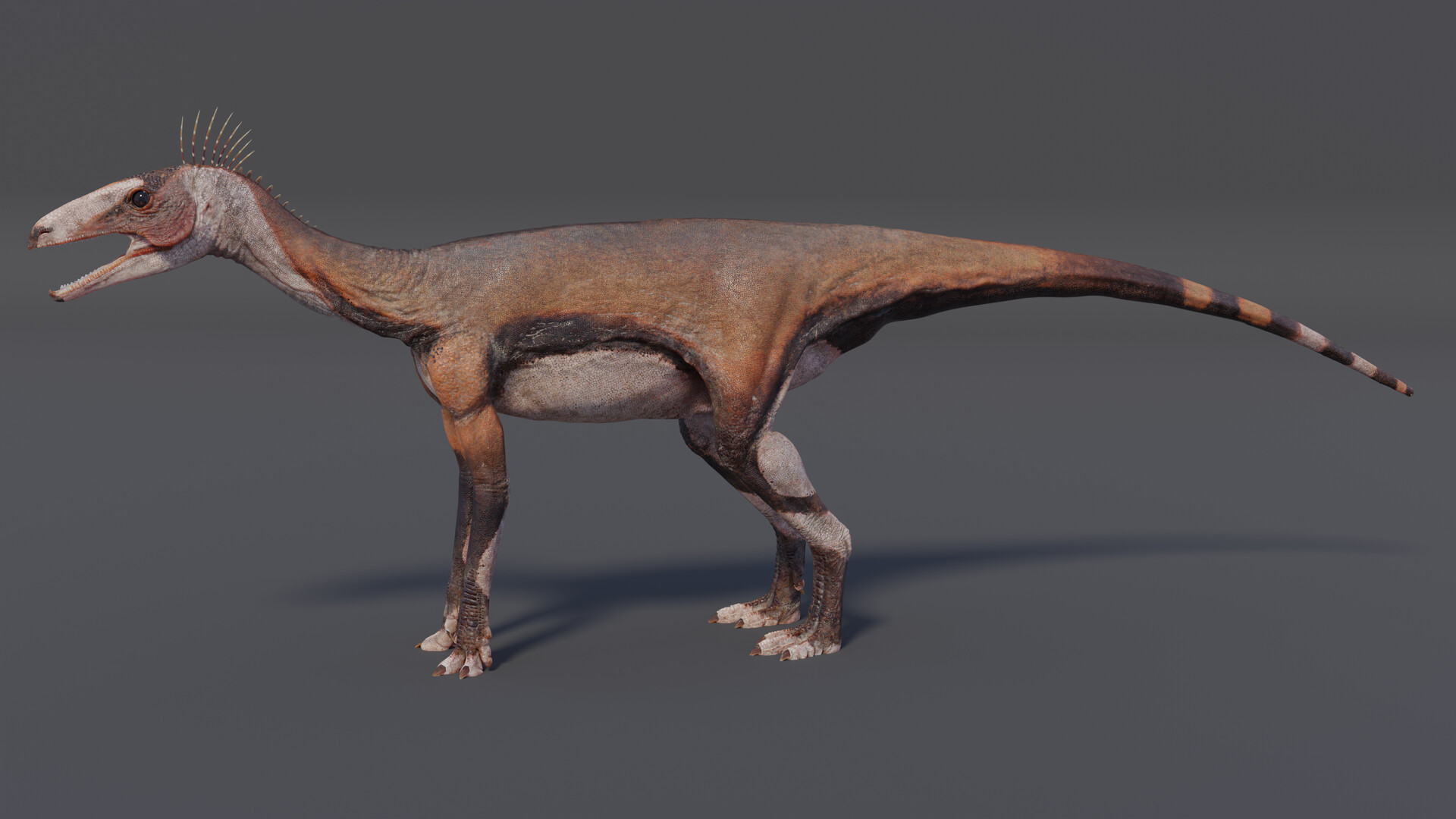 Joanna Kobierska - Silesaurus opolensis