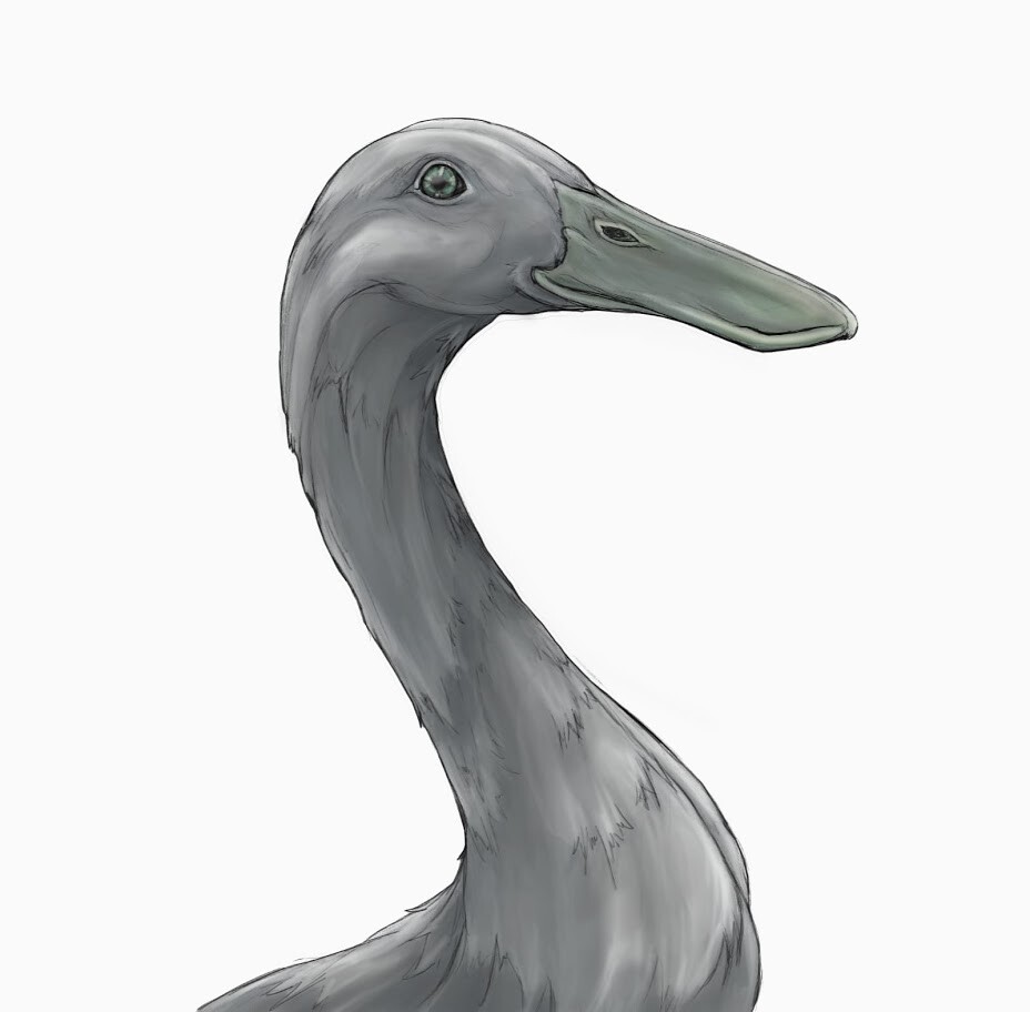 ArtStation - Duck - Daisy