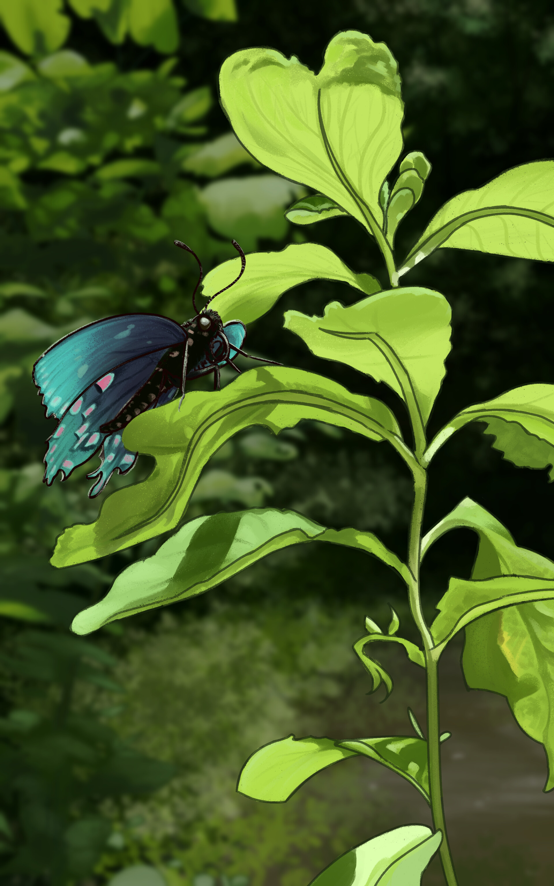 ArtStation - Butterfly