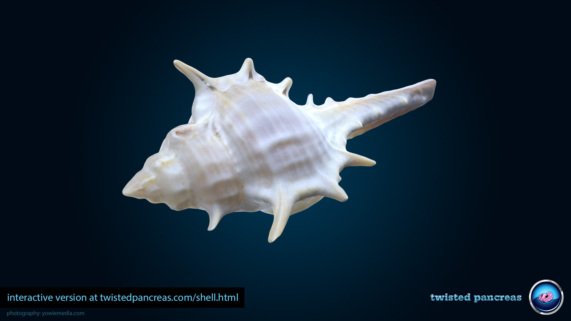 Ross Franks - Shell Photogrammetry