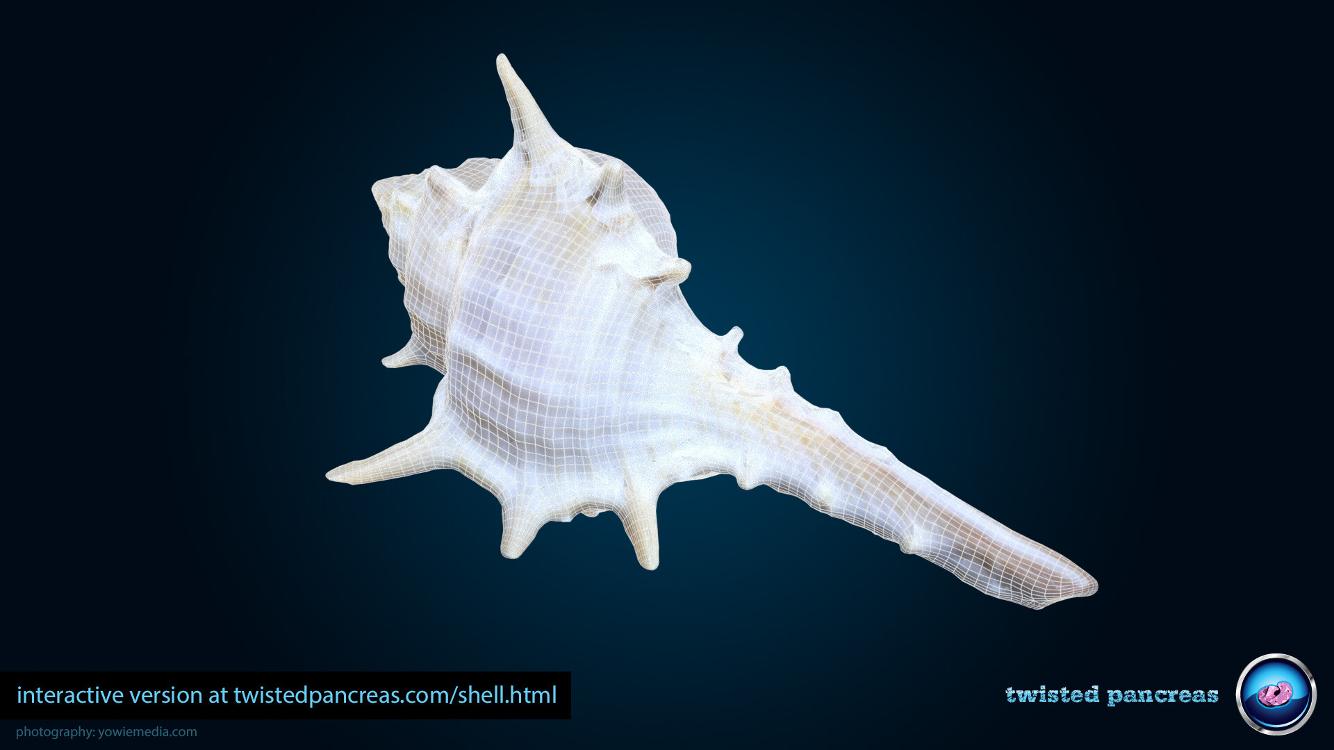 Ross Franks - Shell Photogrammetry