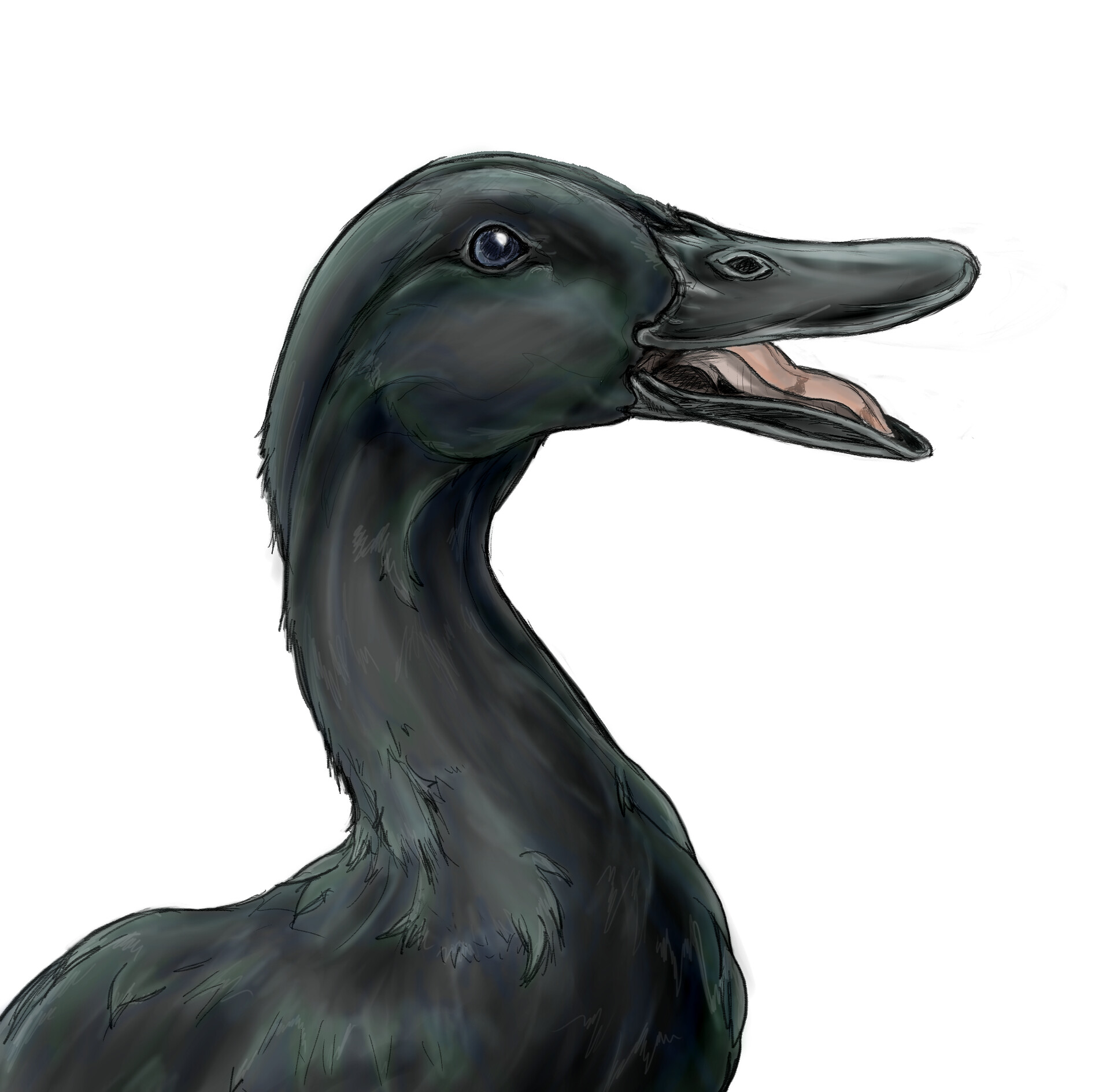 ArtStation - Duck - Olive