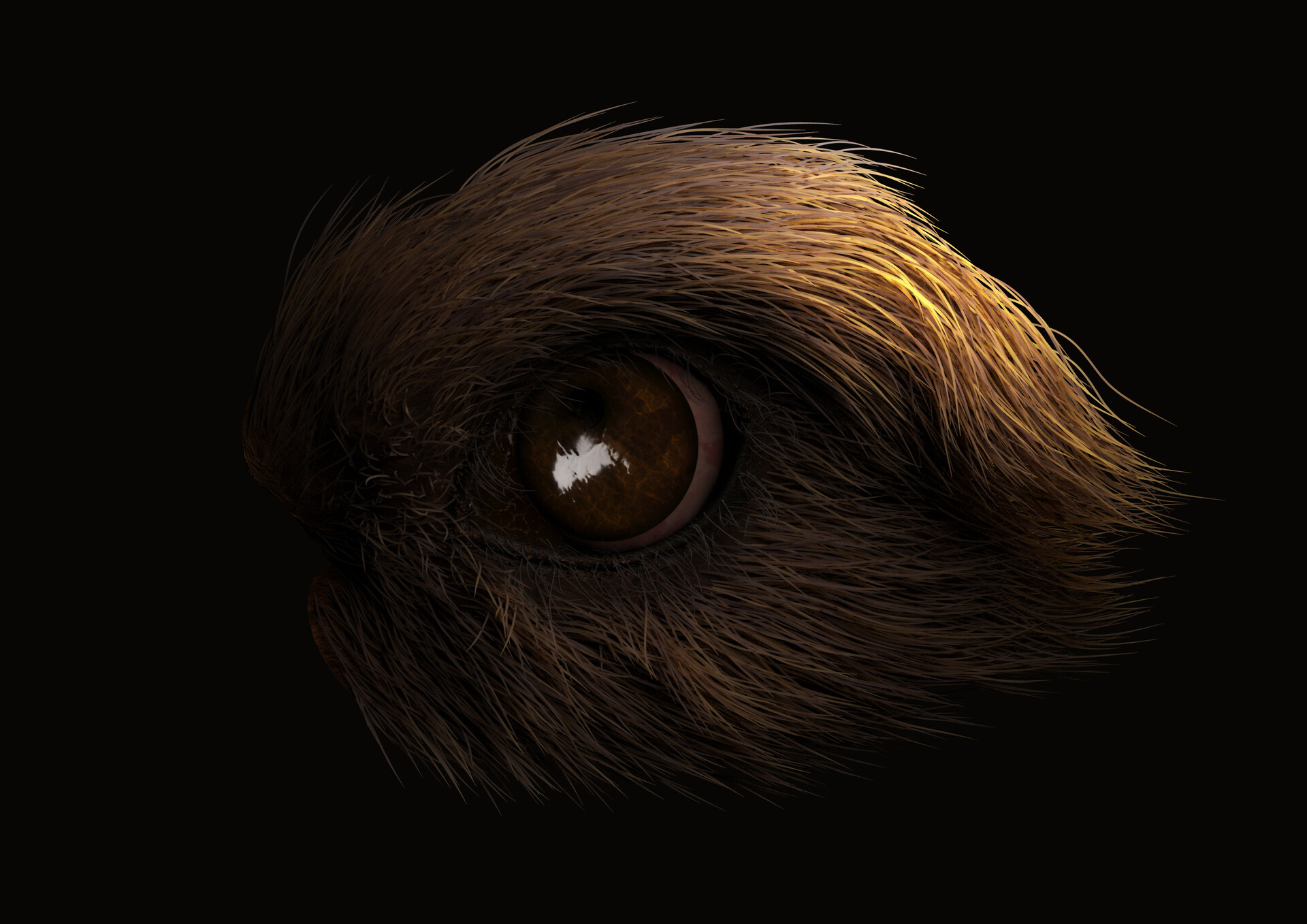 ArtStation - Bear eye