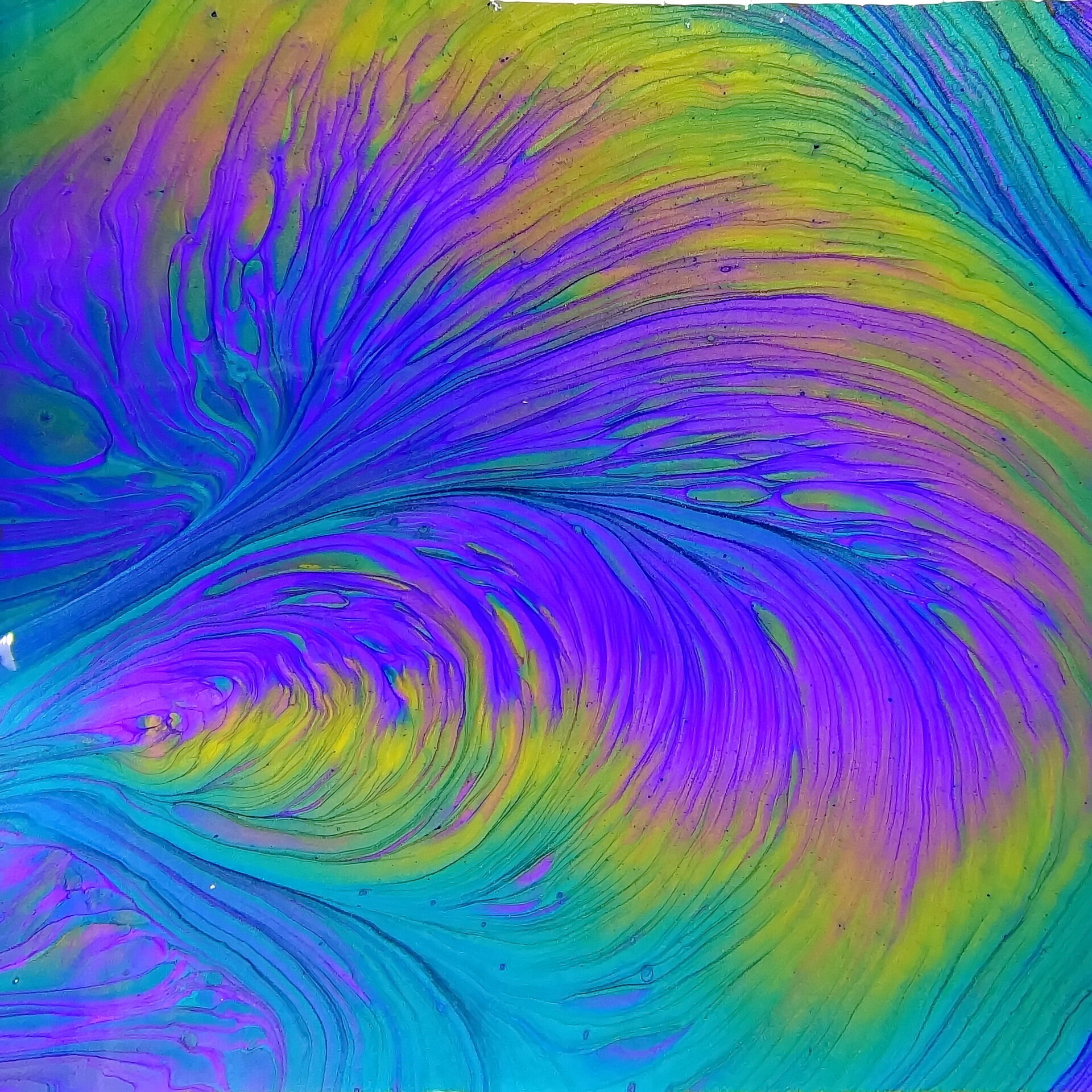 Fiona Art - Pebeo READY-TO-USE pouring paints test ~ Split cup ...