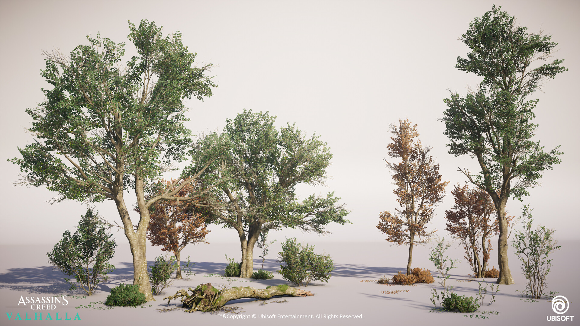 Adrien Paguet-Brunella - Assassin's Creed Valhalla - Trees