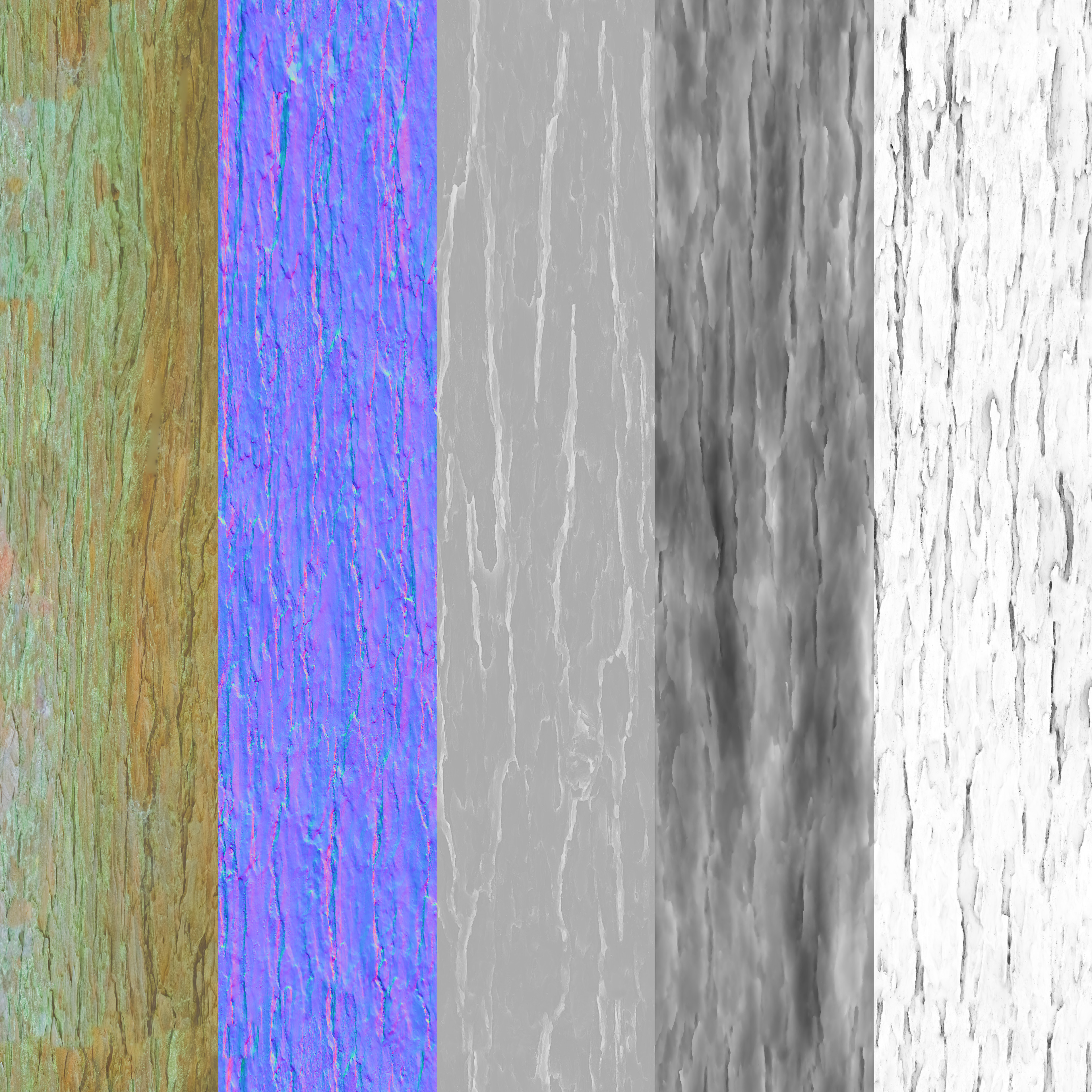 Jay Karasu - Tree Bark 02