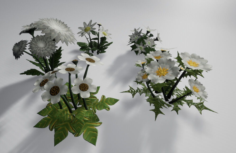 Naomi J. - Flowers ~ Axo