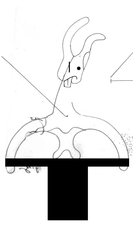 ArtStation - Rabbit Out of a Hat