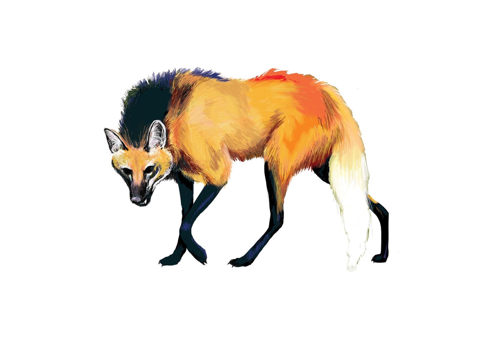 ArtStation - Maned Wolf