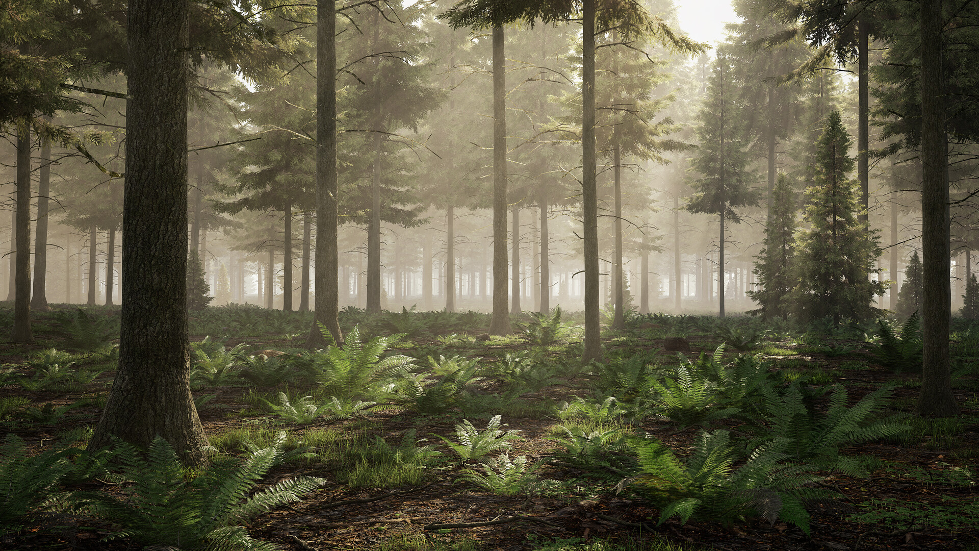 Daniel Peres 🌲 - Spruce Forest