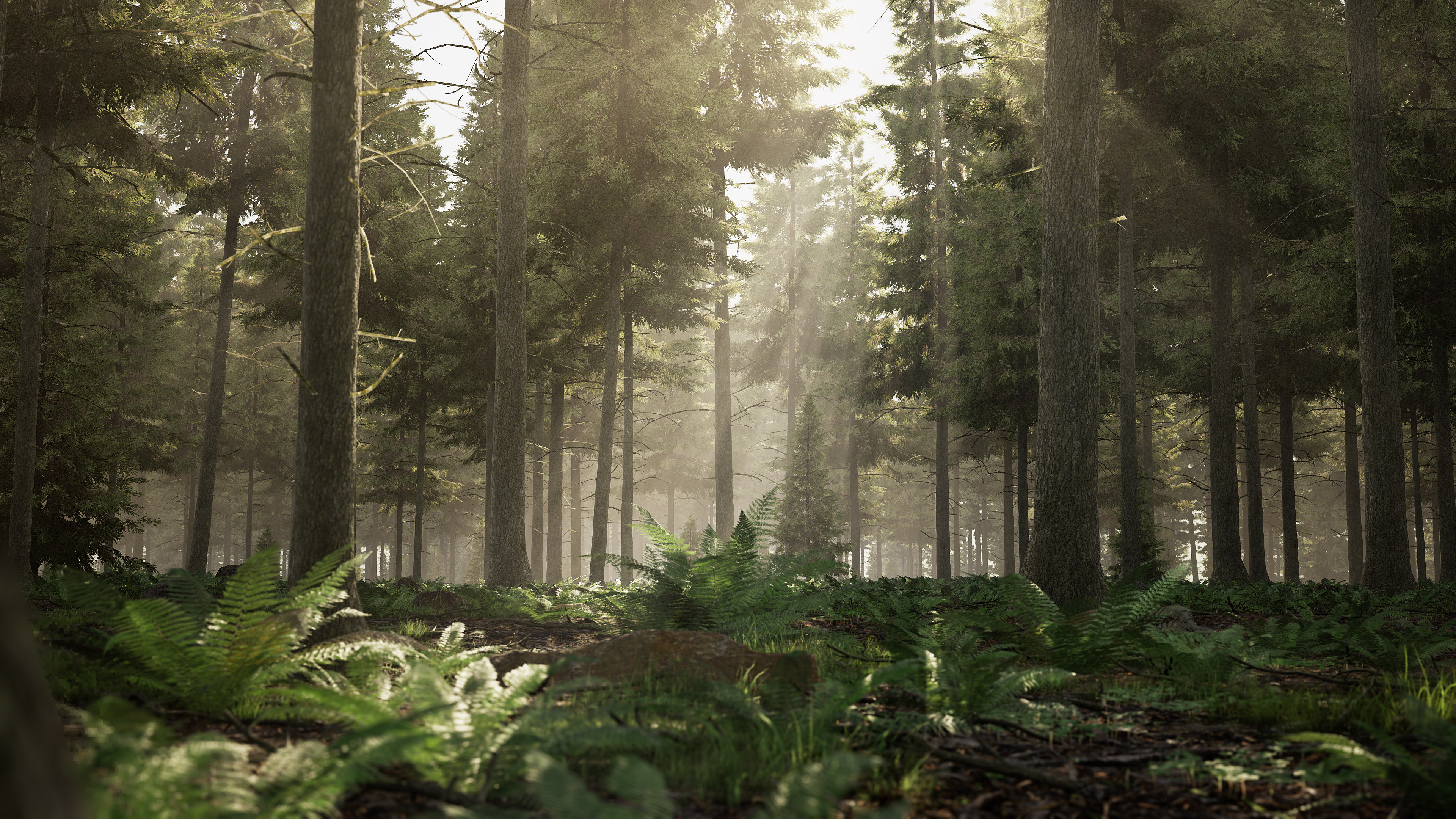 Spruce 1920x1080 Wallpaper