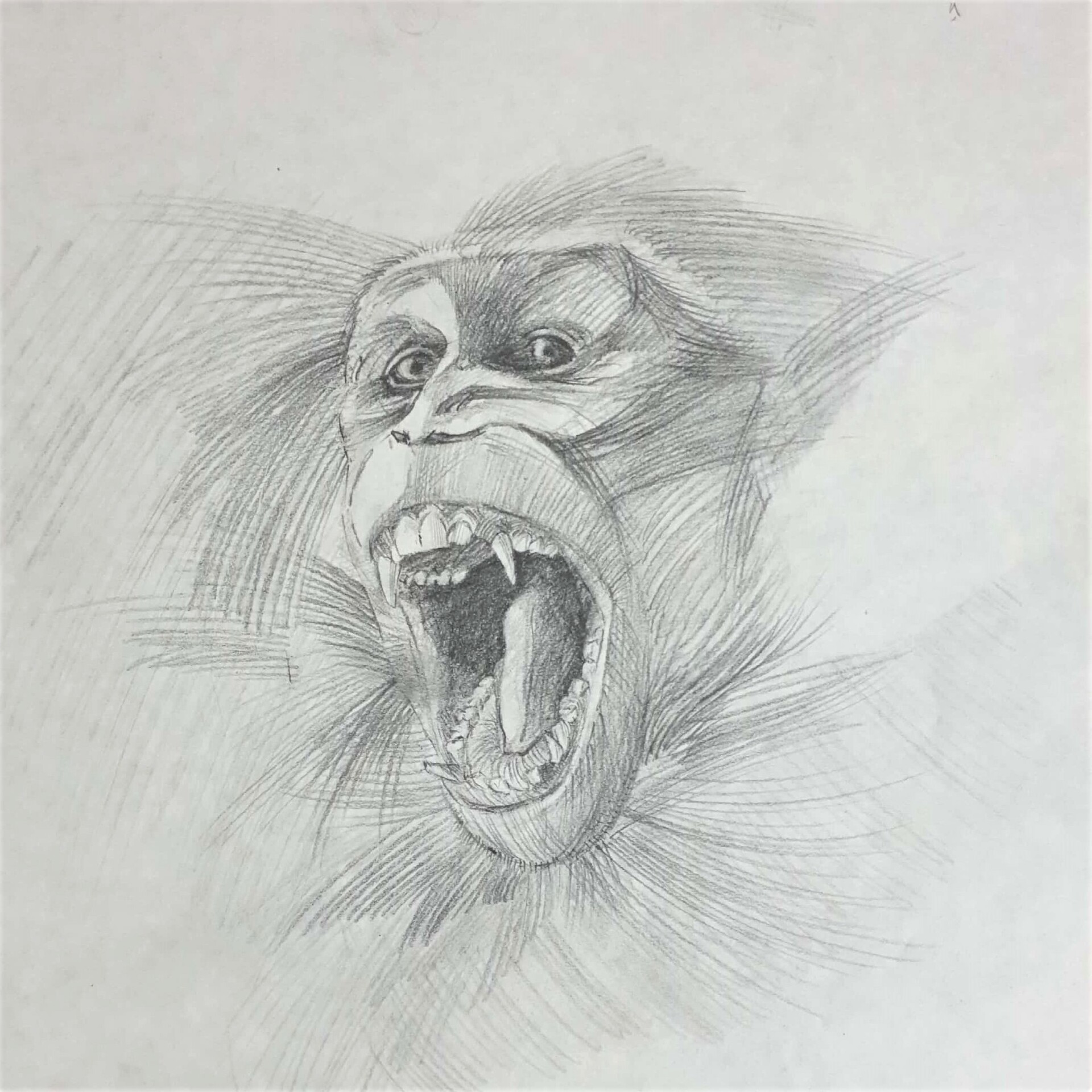 ArtStation - Killer Monkey and friends