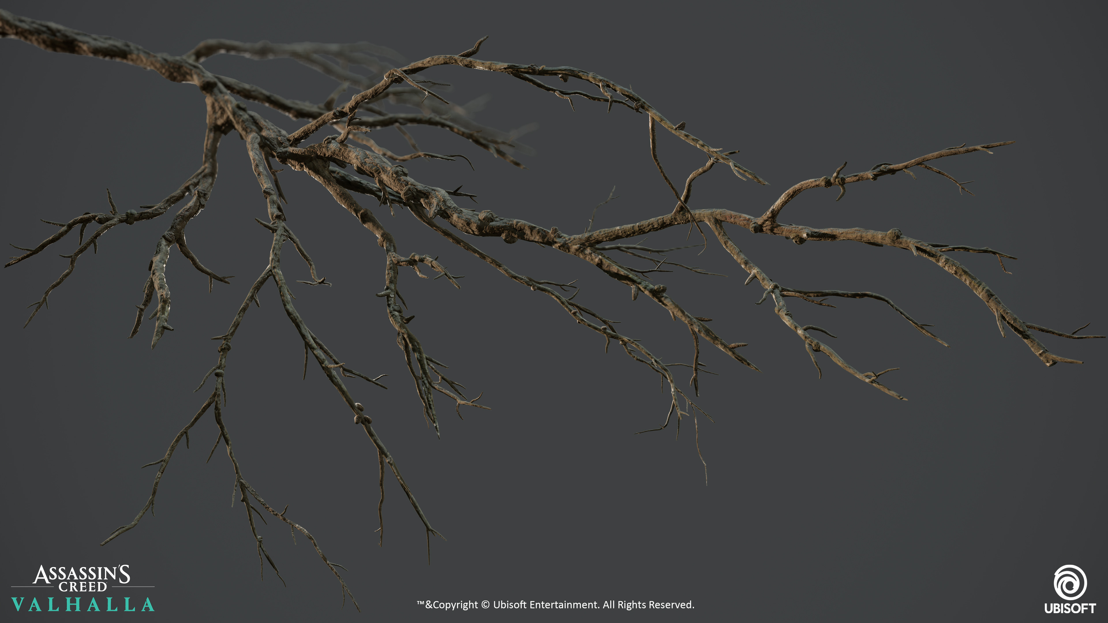 adrien-paguet-brunella-deadbranch.jpg (3840×2160)-花瓣网