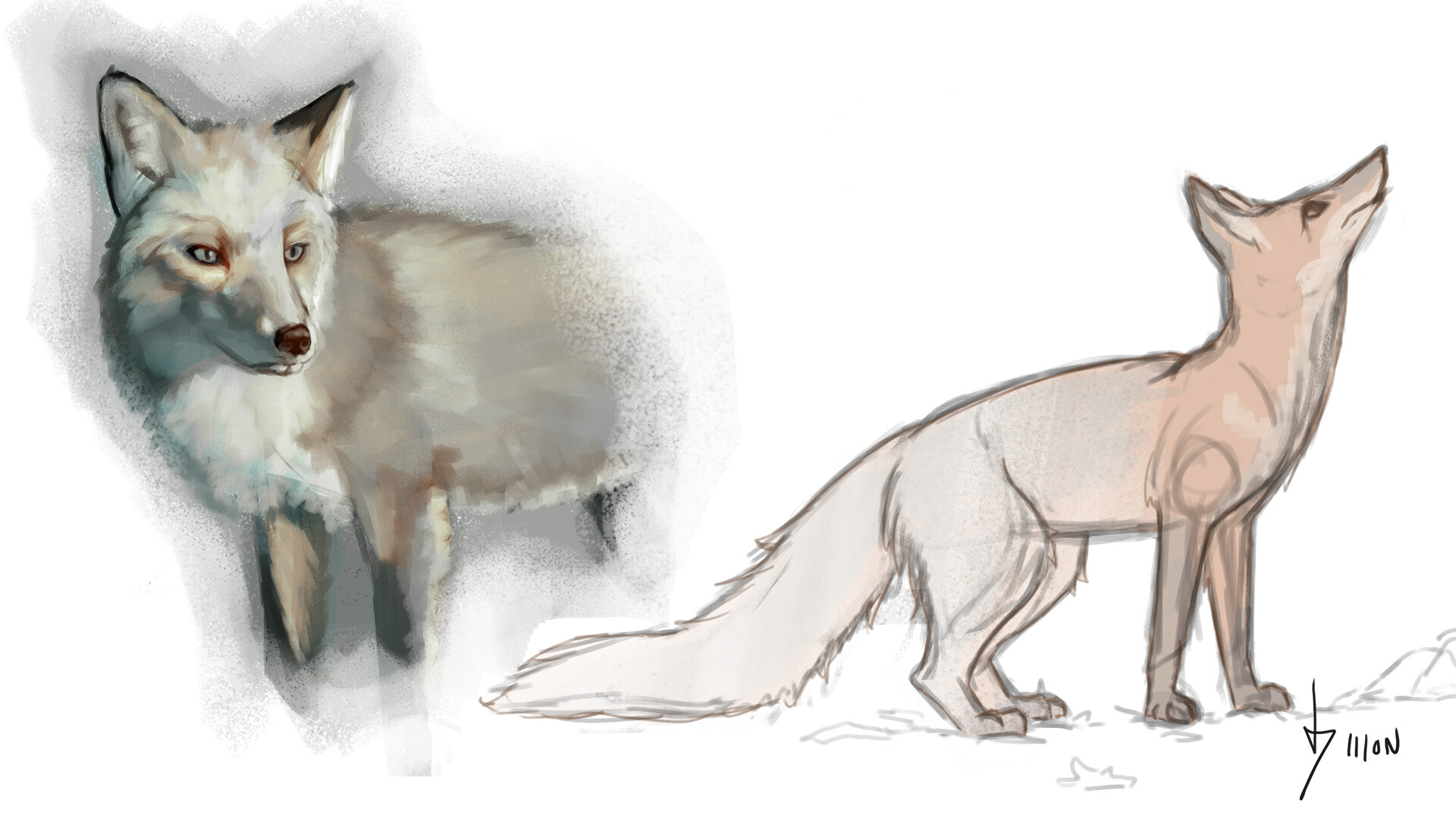 ArtStation - Fox Studies