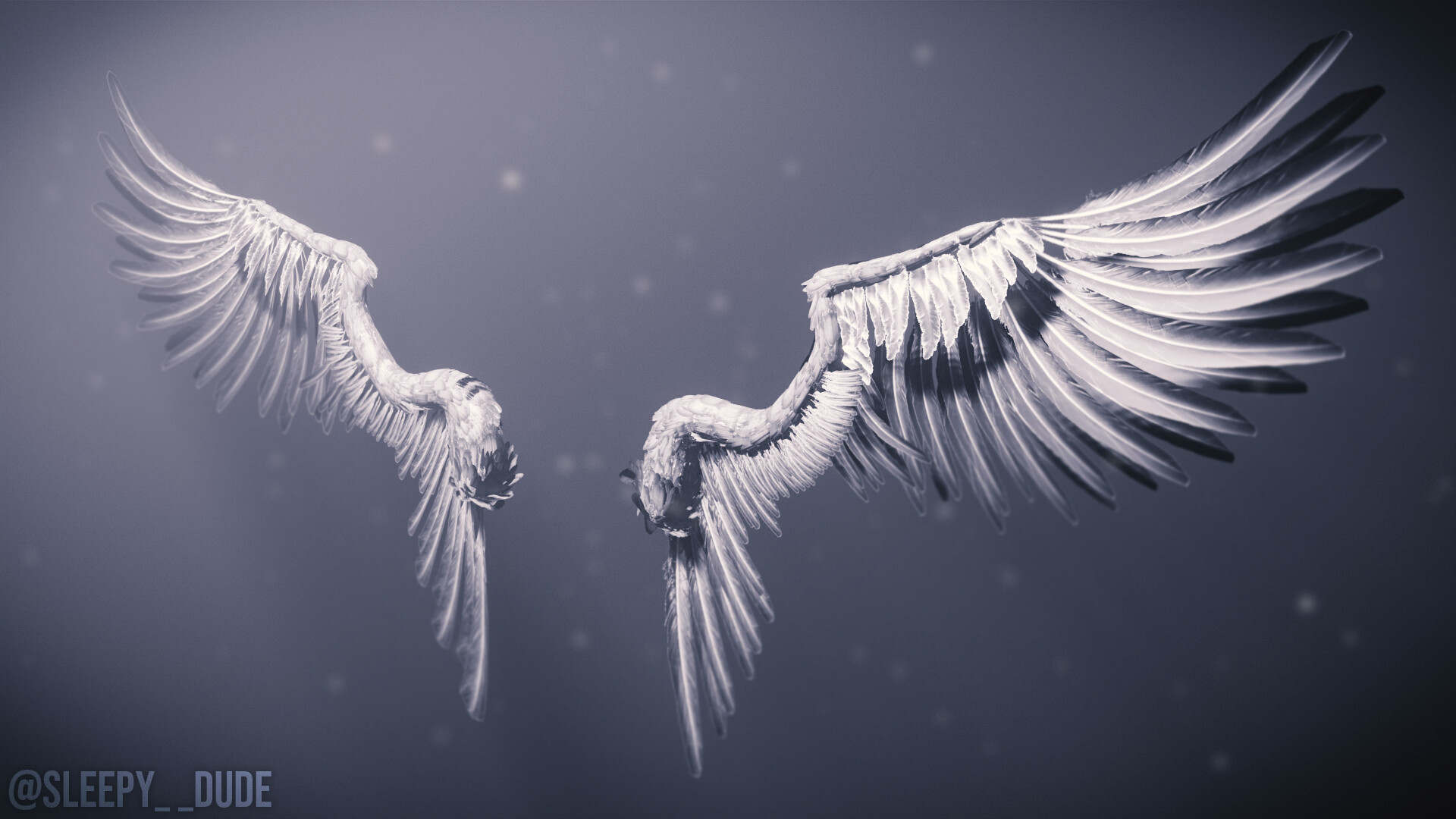 Victorias Secret Angel Wings Wallpaper