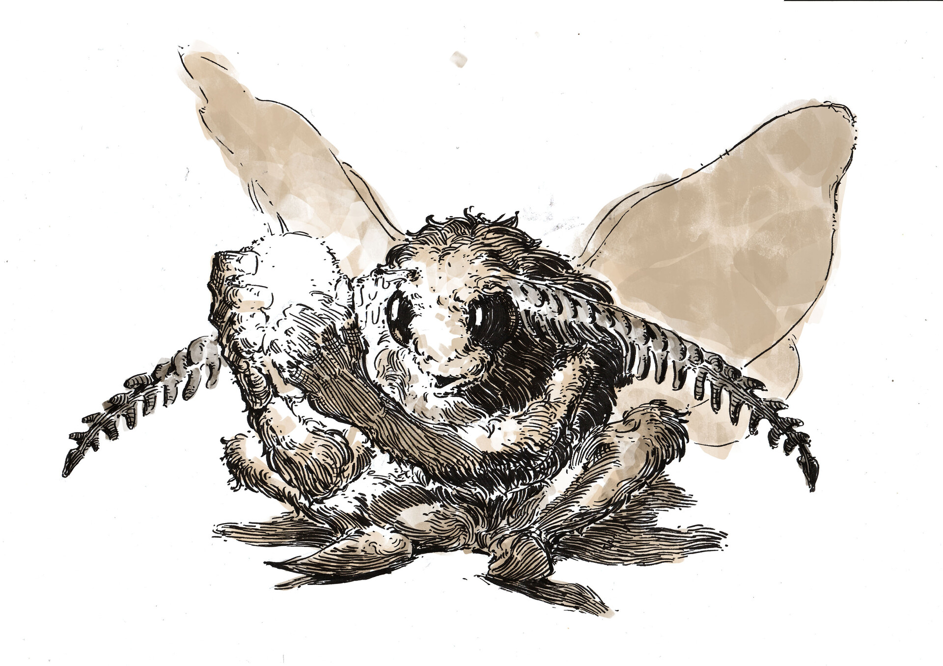 Weremoth by Ognjen Sporin : r/ImaginaryHybrids