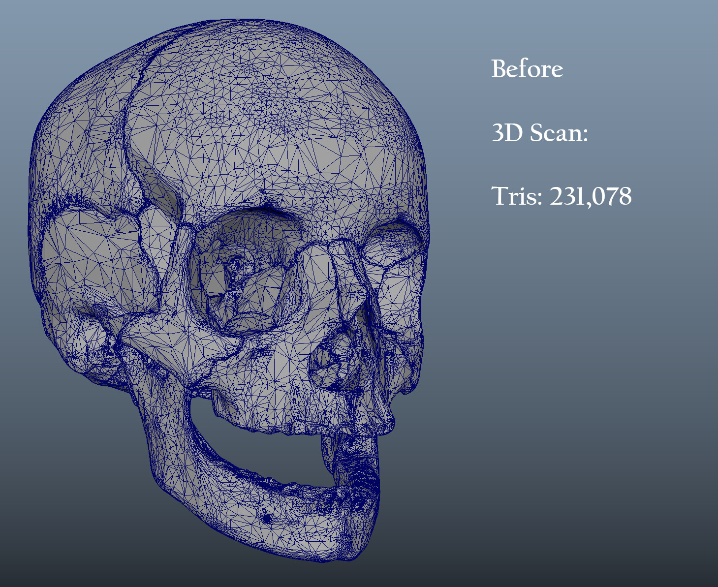ArtStation - Re-topology of 3D Scan: Human Skull