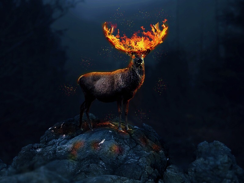 ArtStation - Cervo Demoníaco