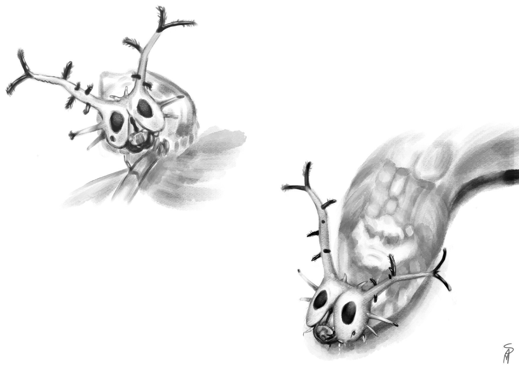 ArtStation - Herona marathus caterpillars