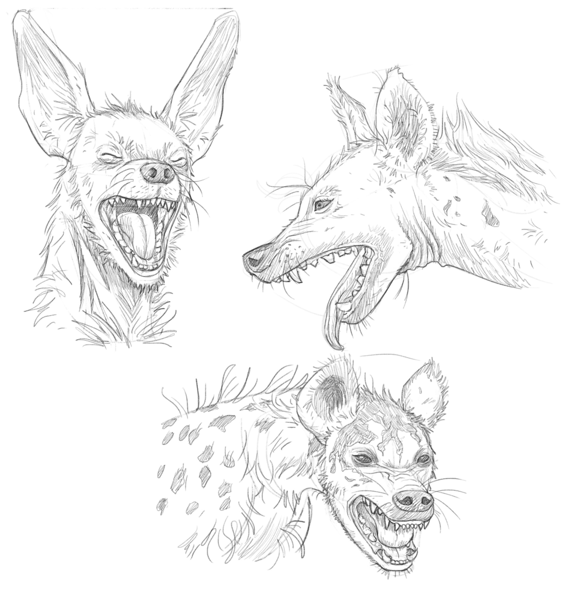 ArtStation - Daily Creature Sketch 13