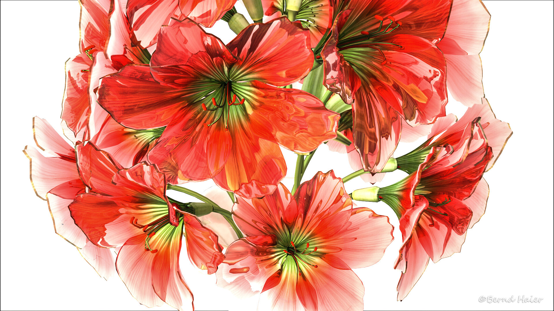 Bernd Haier - Crystal glass flowers with bloom effect