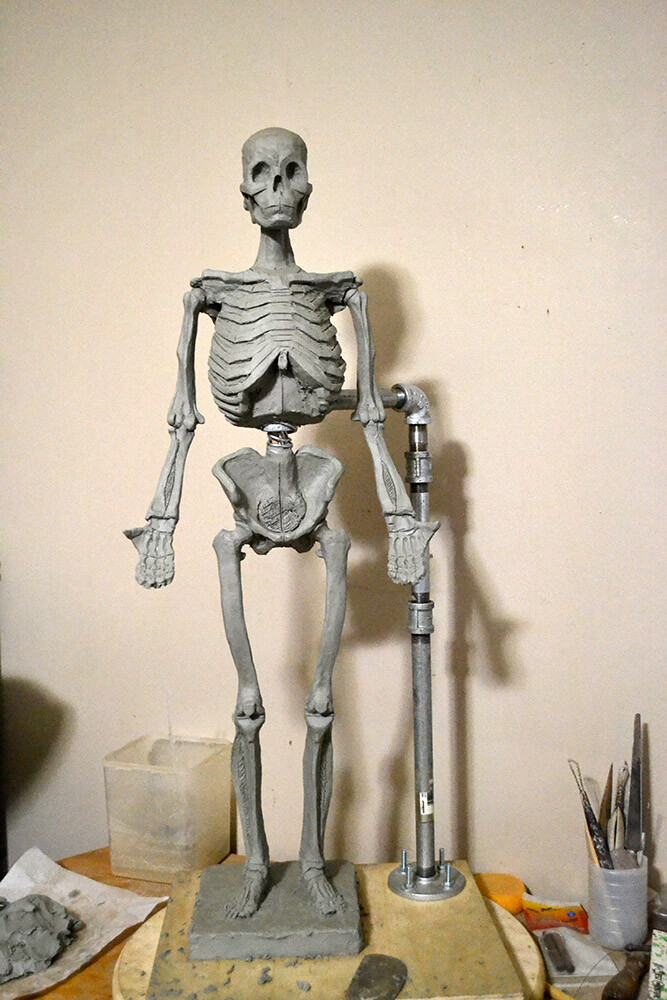 ArtStation - Ecorche Skeleton Sculpture