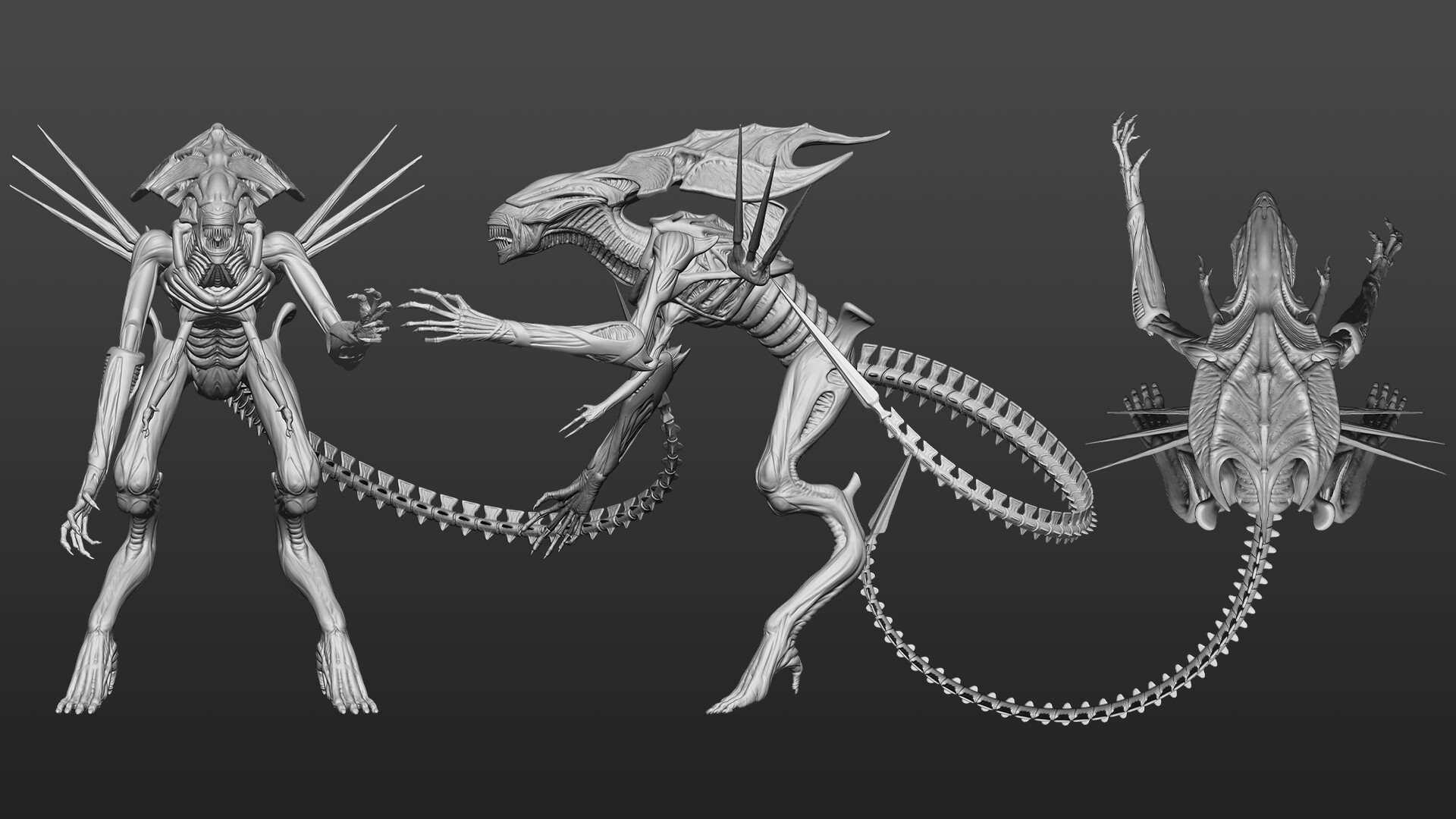 ArtStation - Xenomorph (fan art)