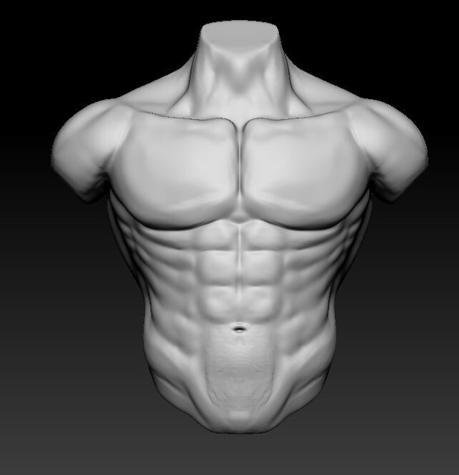 ArtStation - torso