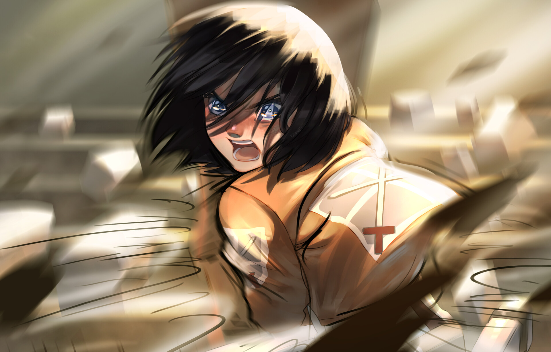 mikasa fighting