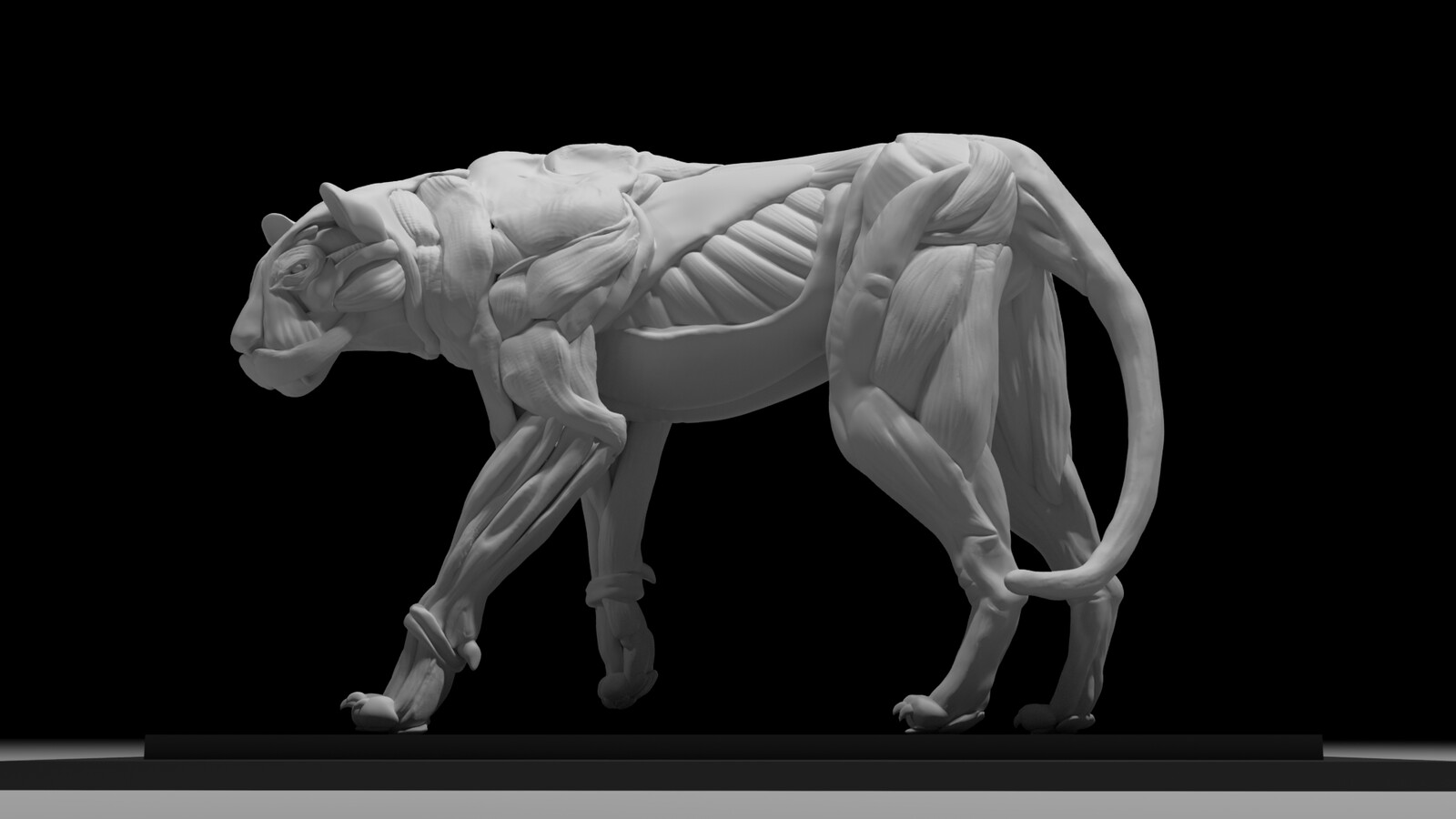 Lucius Arobel - Lion écorché