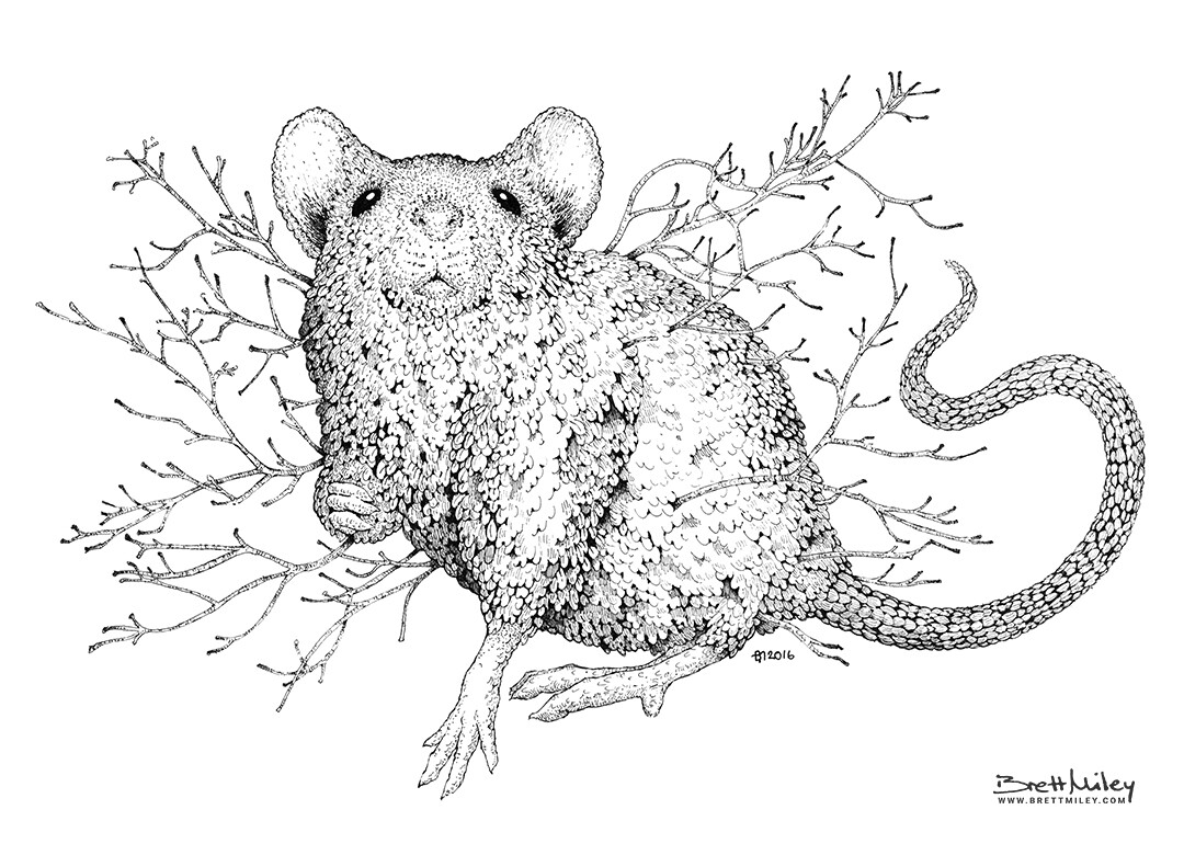 ArtStation - Leaf Mouse