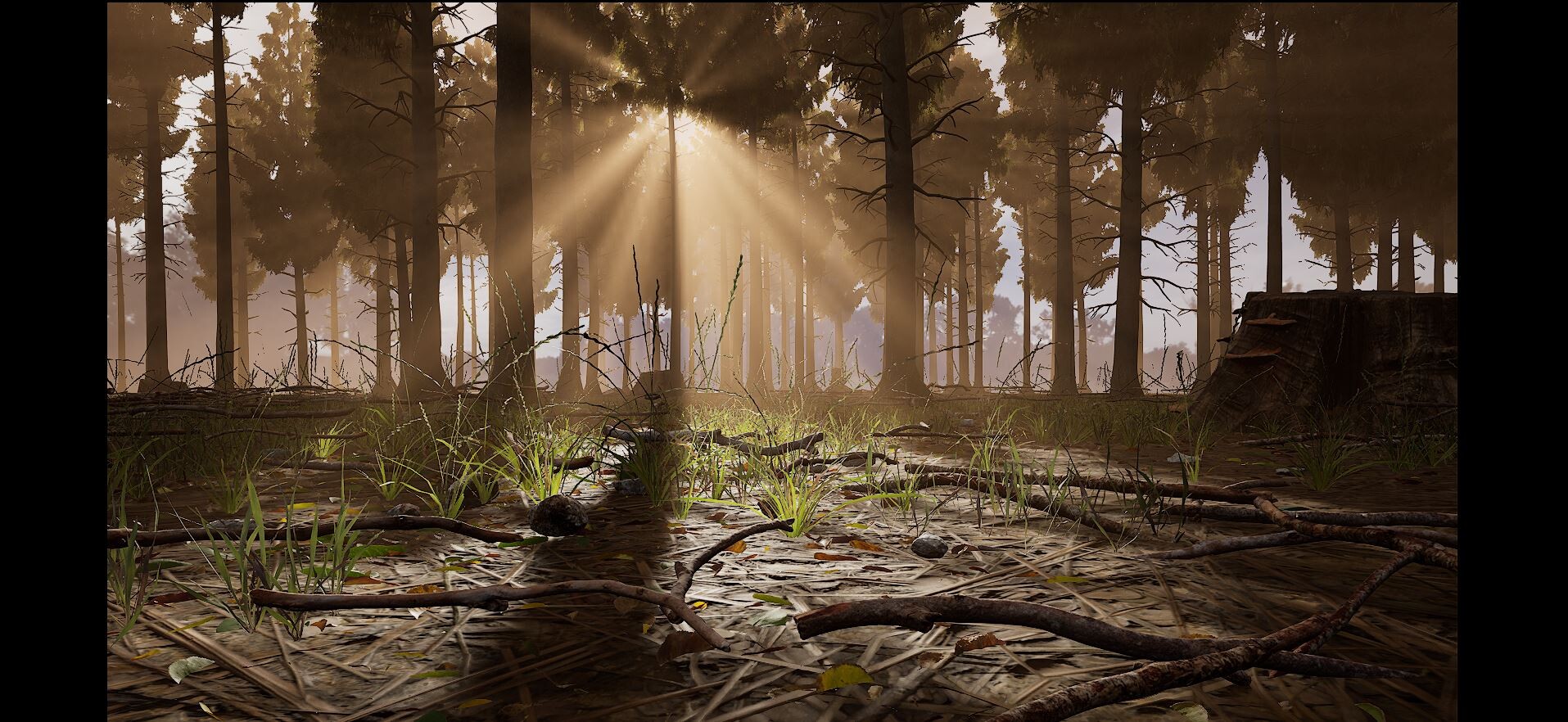 Deepak Mali - Summer morning scene