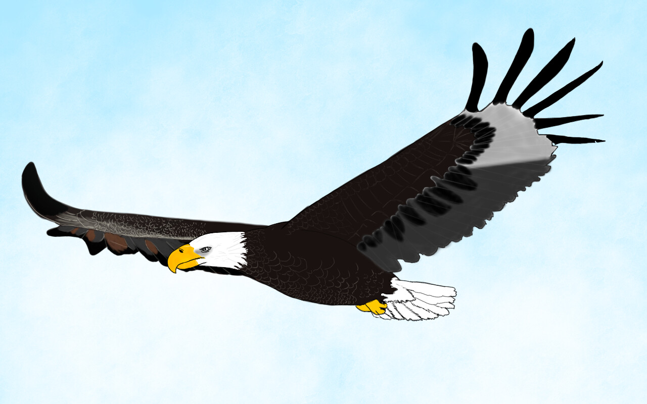 ArtStation - Bald eagle