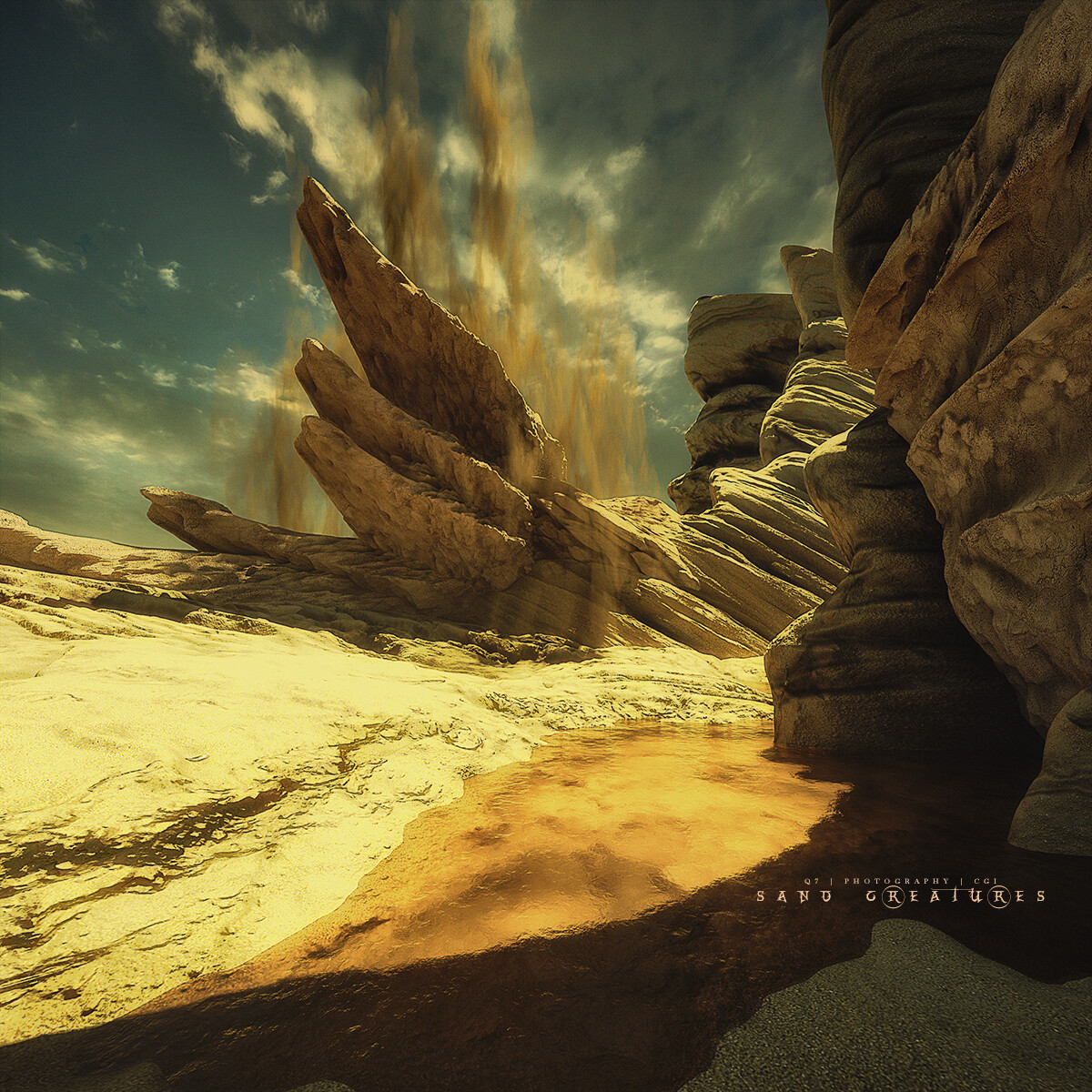 raphael-szkudlarek-sand-creatures.jpg (1200×1200)