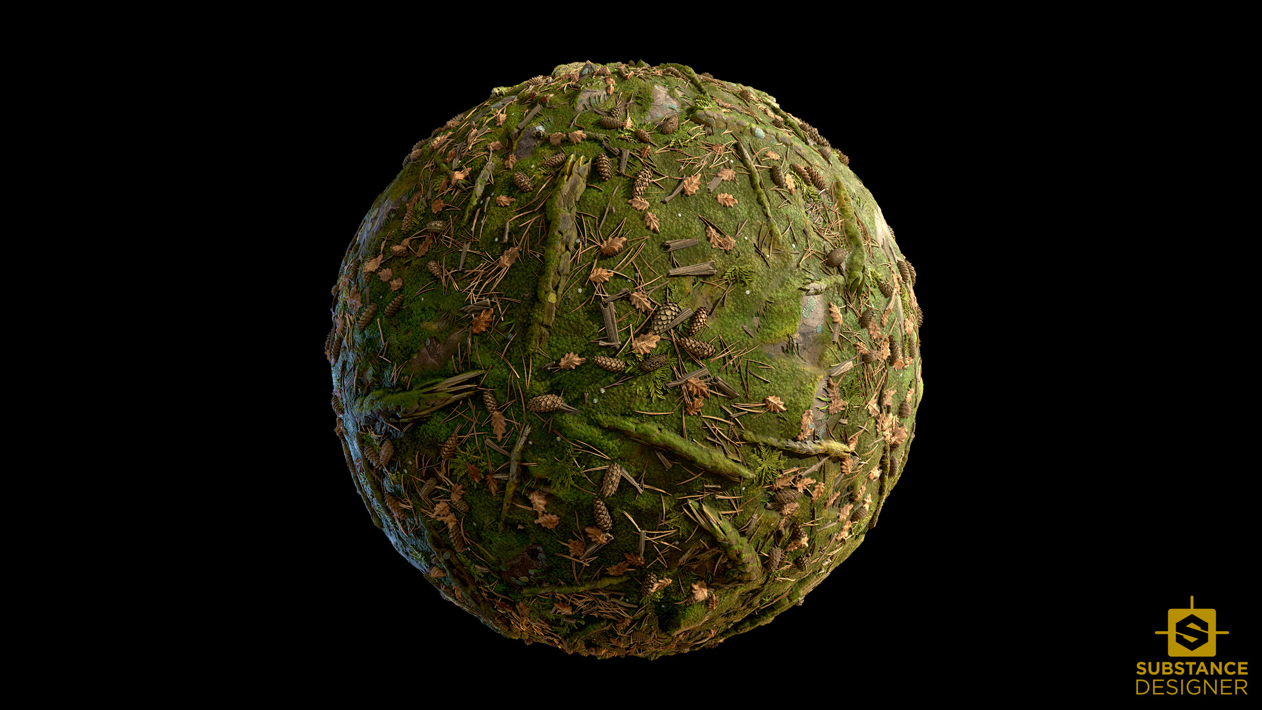 aleksandr-protasov-forest-floor20.jpg (2560×1440)