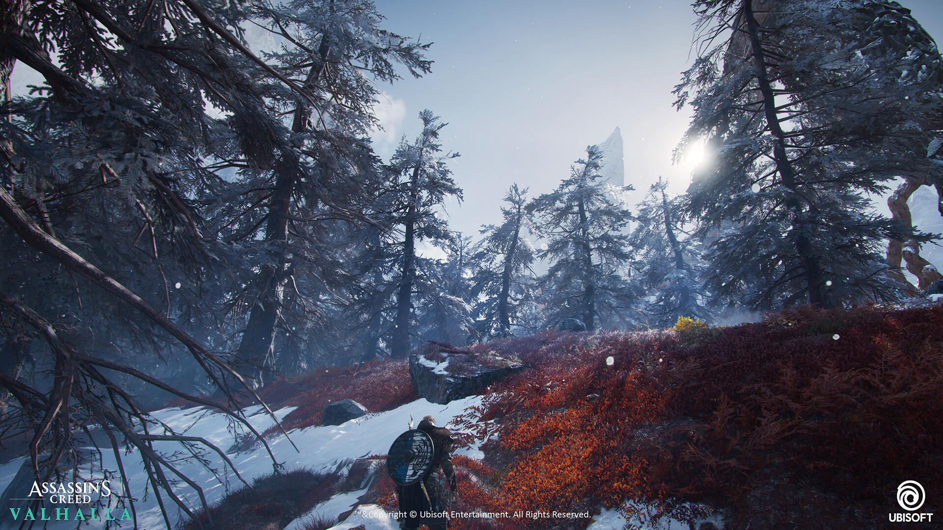 Samuil Munis - Assassin's Creed Valhalla - Iron Forest Trees