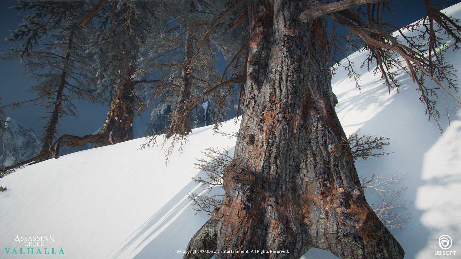 Samuil Munis - Assassin's Creed Valhalla - Iron Forest Trees
